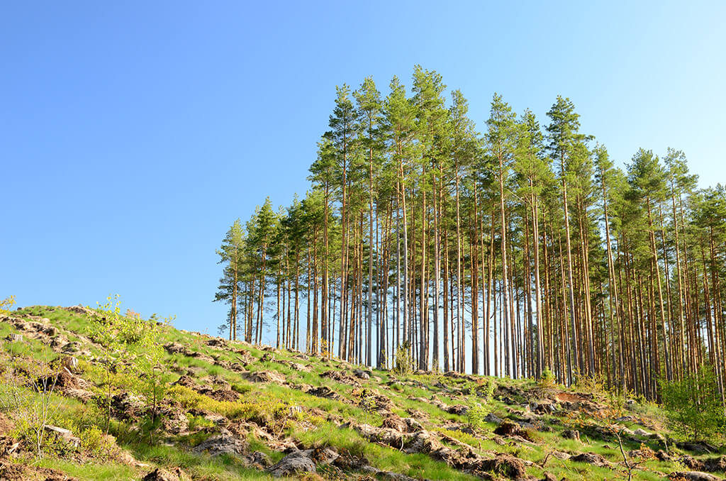 PrimalCon 2014 - The Highlights - Paleo.nl